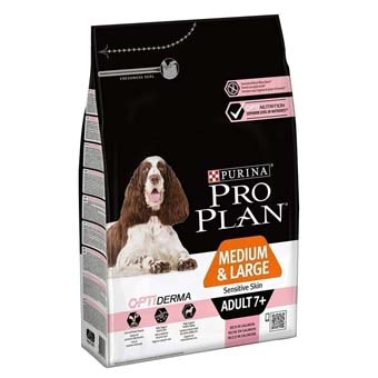 10 Best Senior Dog Foods 2024 | UK Veterinary Surgeon Reviewed | mybest