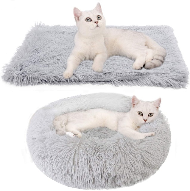 10 Best Cat Beds UK 2024 | Rosewood, AmazonBasics and More | mybest