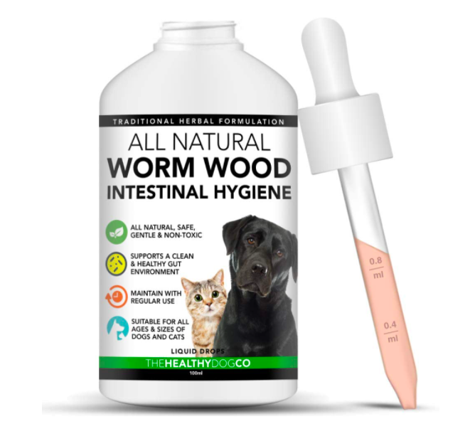 9 Best Dog Wormers 2024 | UK Veterinarian Reviewed | mybest
