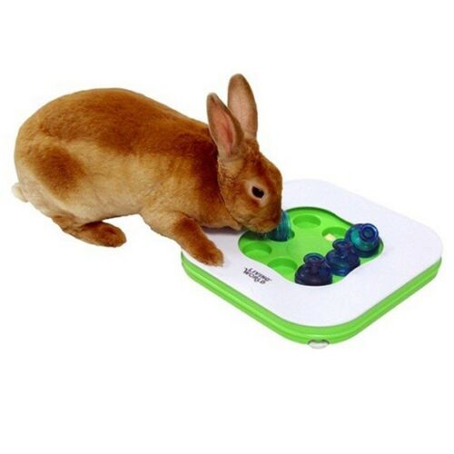 10 Best Toys for Rabbits 2024 | UK Veterinarian Reviewed | mybest