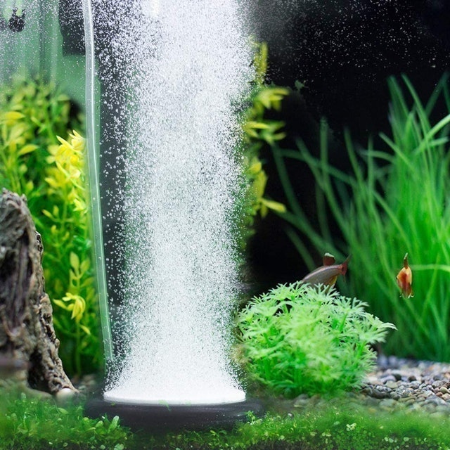 10 Best Air Stones UK 2024 | mybest